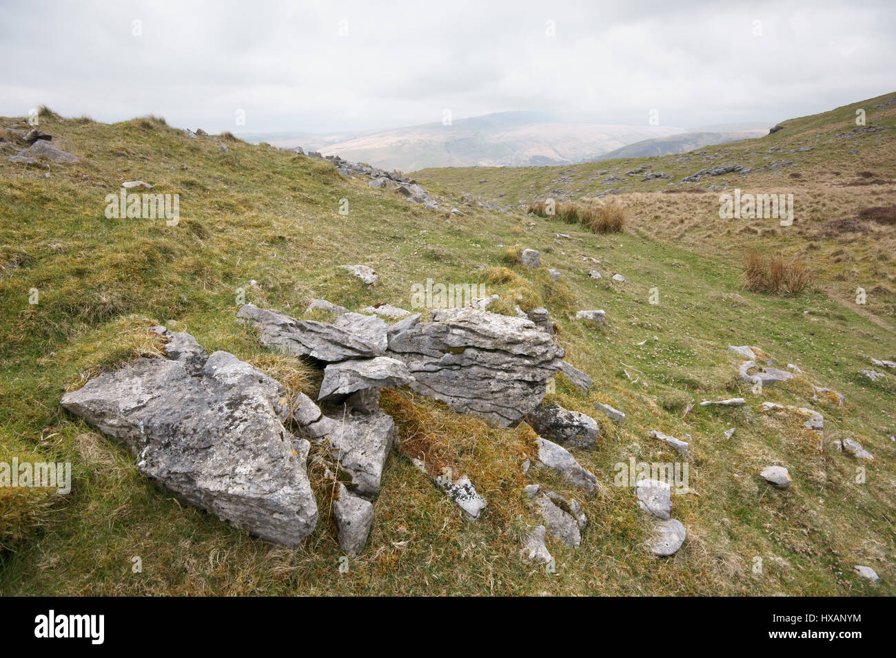 Penwyllt hi-res stock photography and images - Alamy
