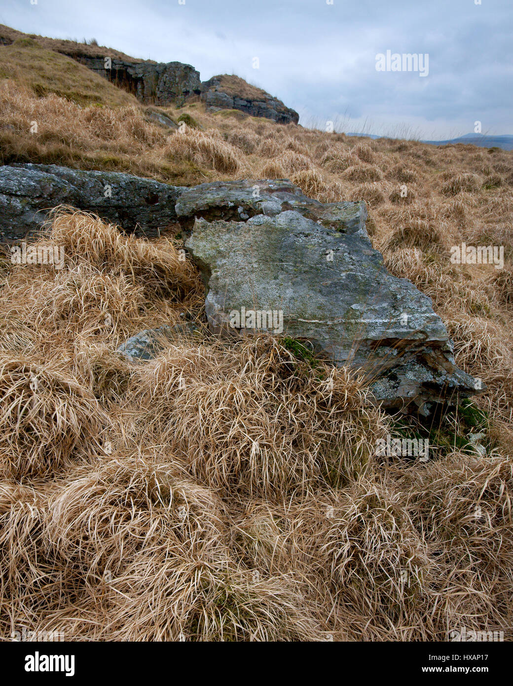 Penwyllt limestone quarry hi-res stock photography and images - Alamy