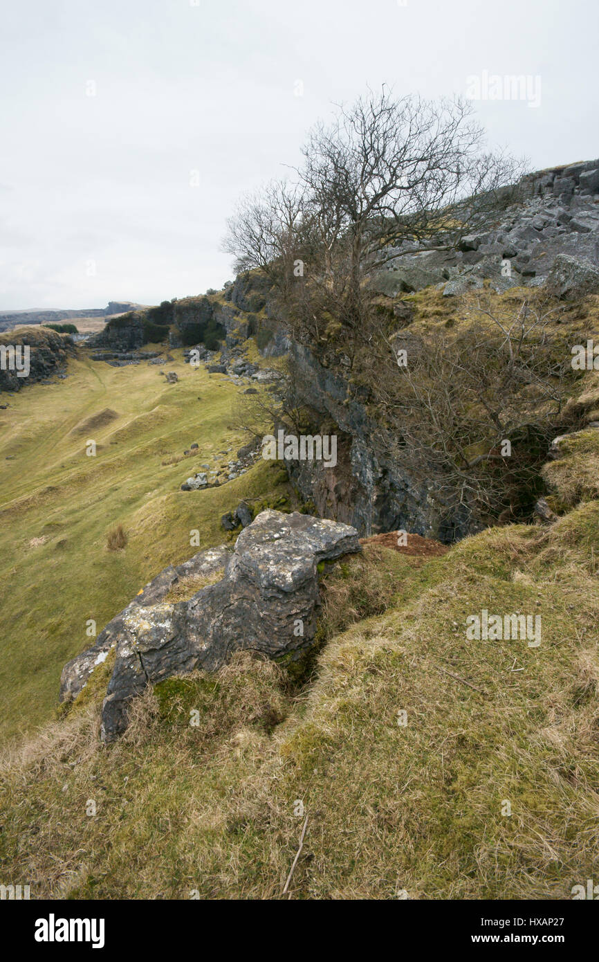 Penwyllt limestone quarry hi-res stock photography and images - Alamy