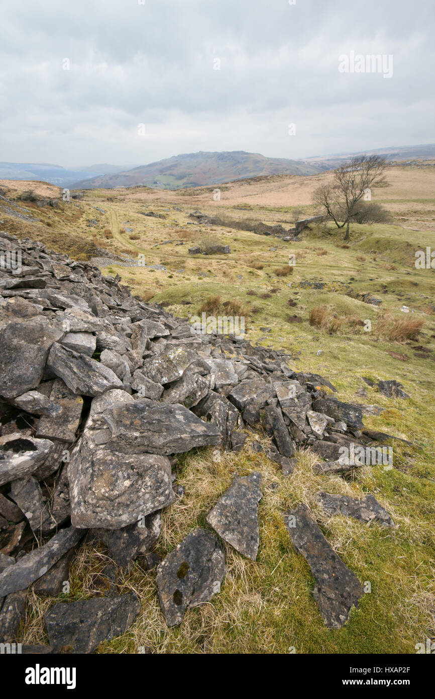 Penwyllt limestone quarry hi-res stock photography and images - Alamy