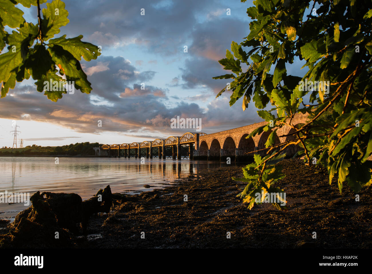 Tavy bridge railway bridge over hi-res stock photography and images - Alamy