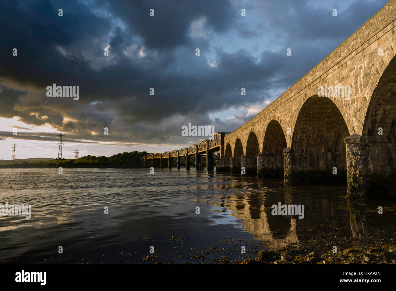 Tavy Bridge, railway bridge over the River Tavy Stock Photo - Alamy