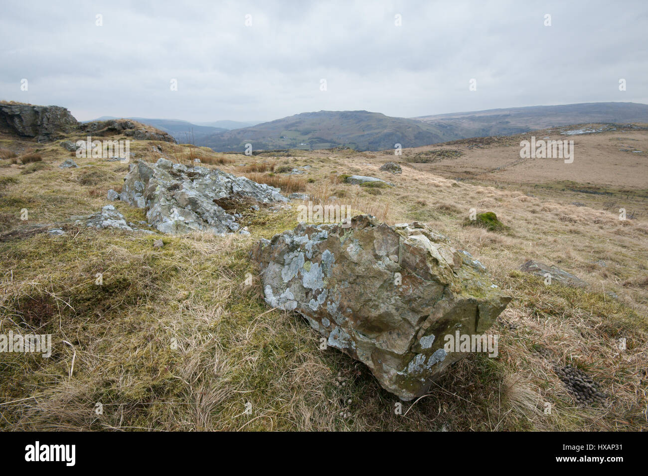 Penwyllt hi-res stock photography and images - Alamy