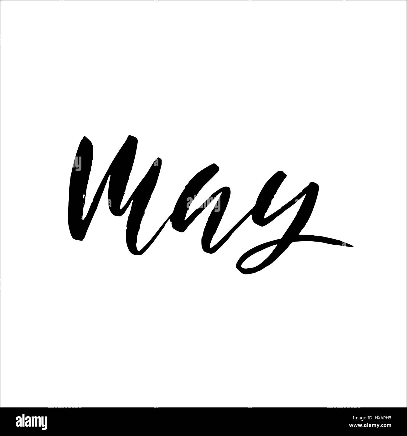 May month. Ink hand drawn lettering. Modern dry brush typography ...
