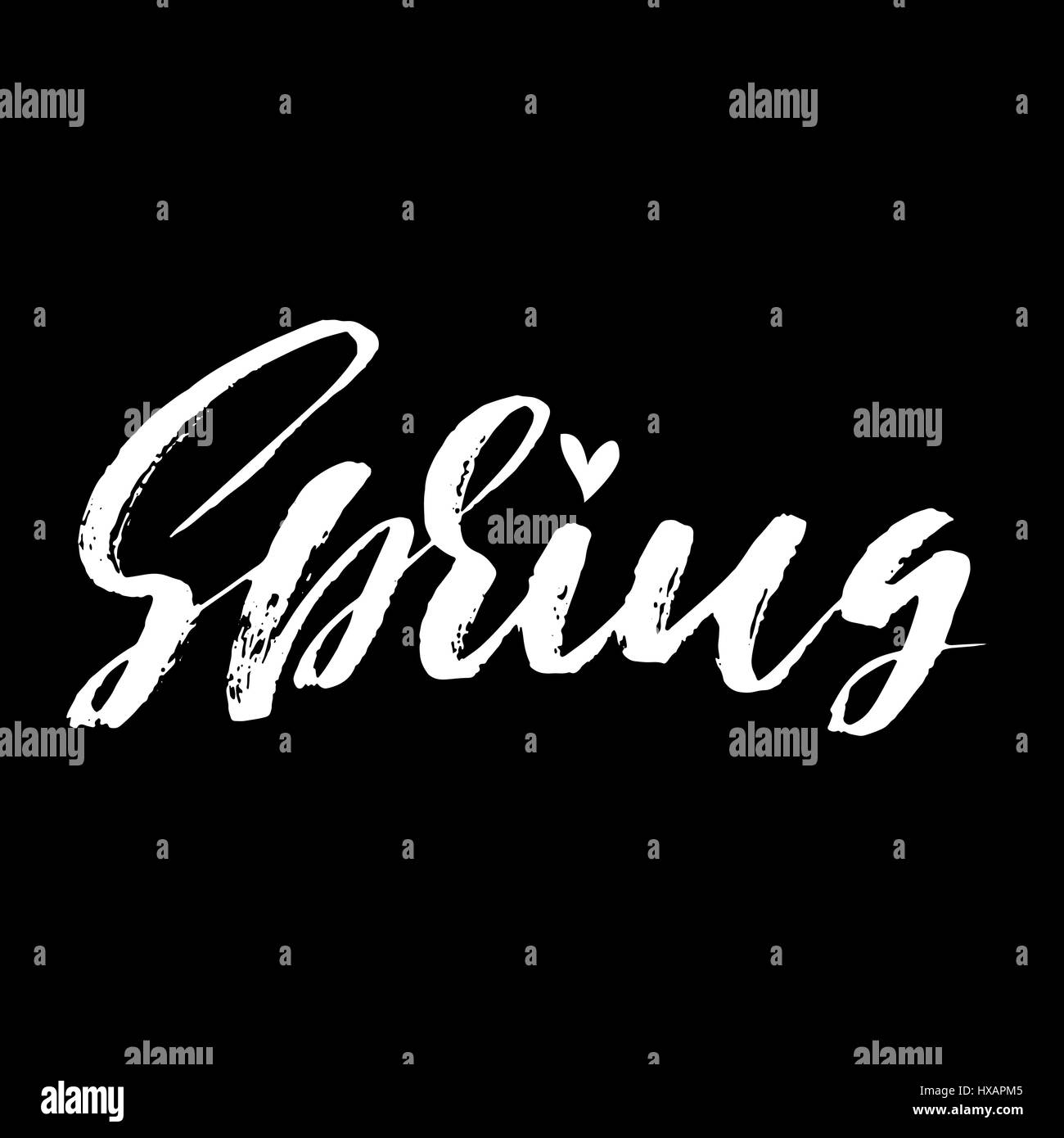 Handwritten lettering. Spring. Hand drawn calligraphy letters. Vector ...