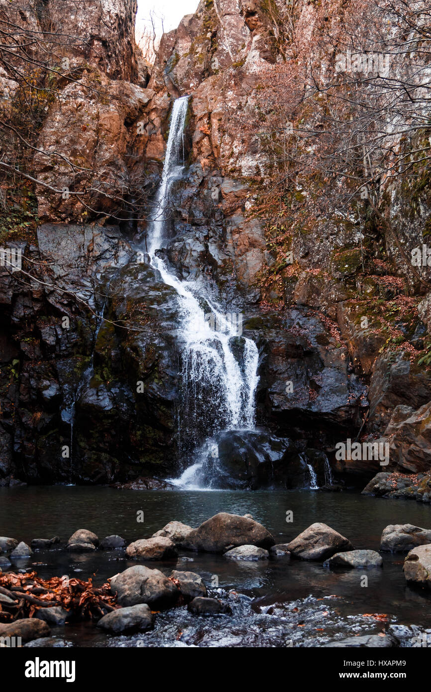 Front view of streaming waterfall with foams in deep forest in autumn ...