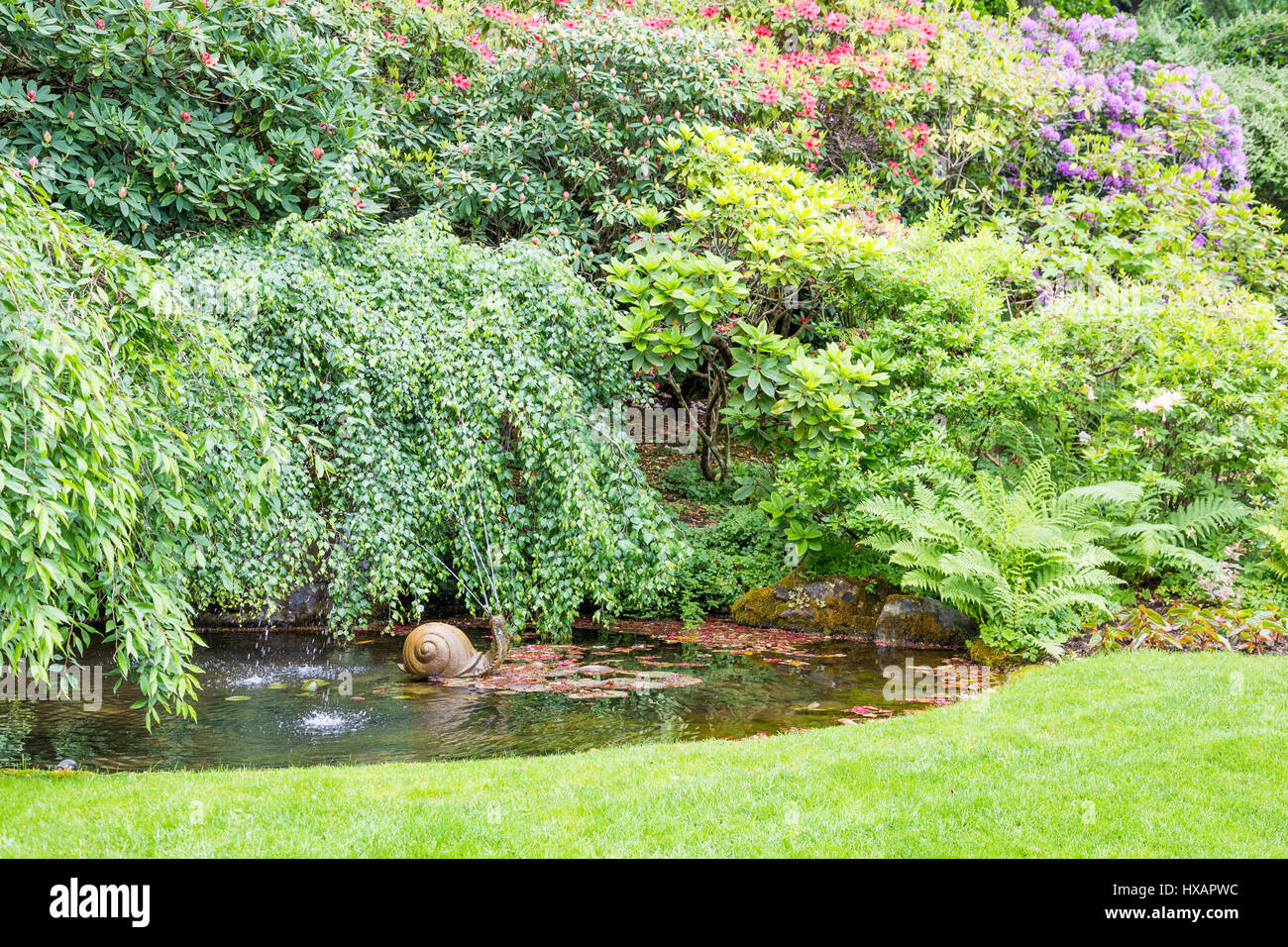Lush Green Trees and Ferns Around Small Pond Stock Photo - Alamy