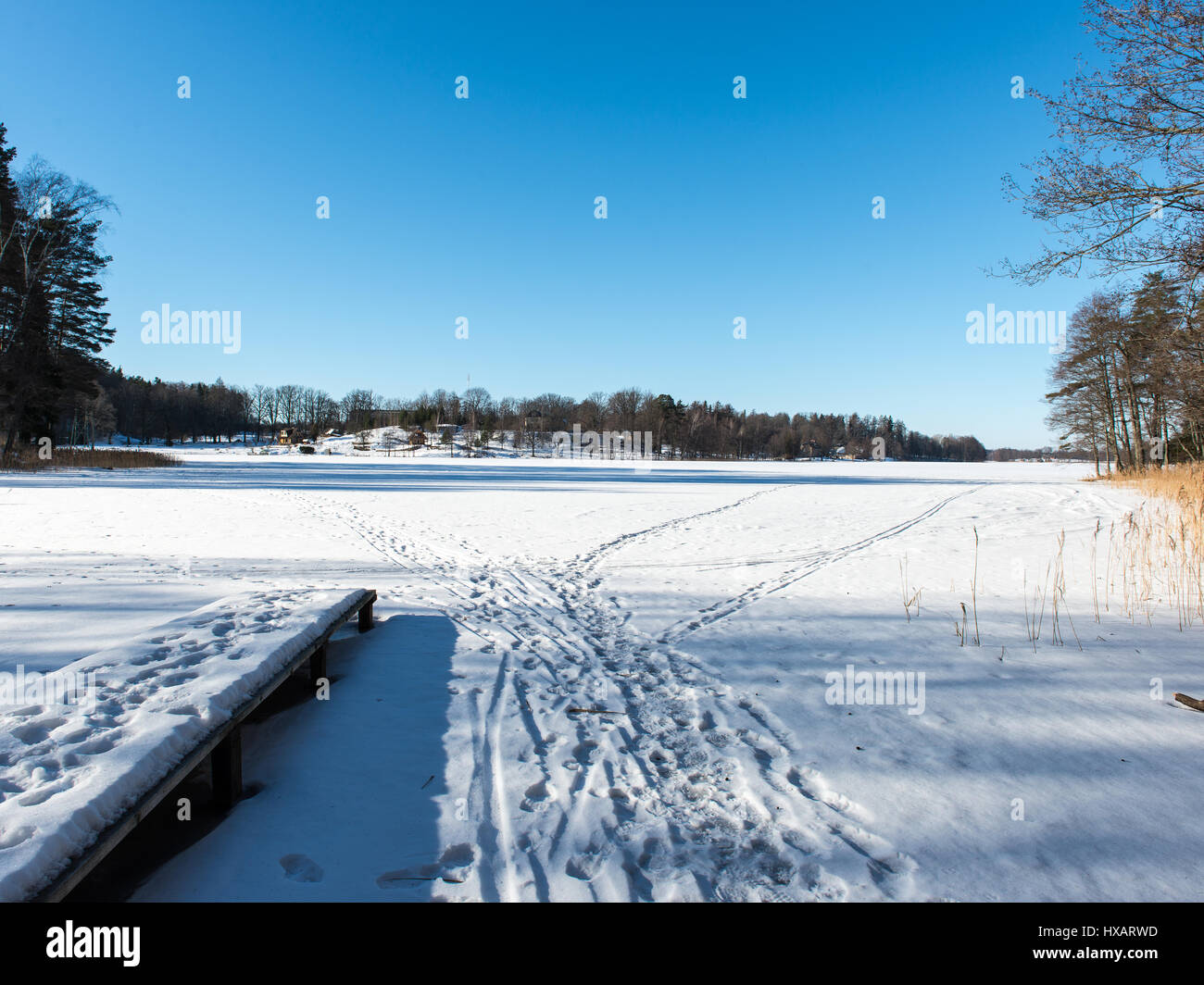 frozen lake in winter with boardwalk and ice blocks. Gauja National ...
