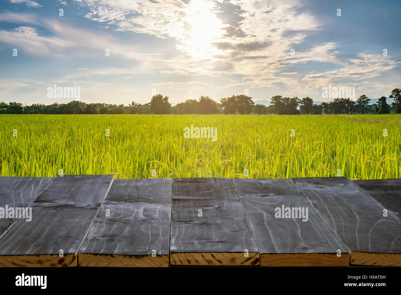 wood table for product montage and display with rice field sunlight ...