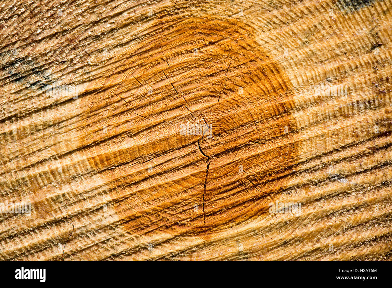 A big pile of wood in a forest road Stock Photo - Alamy