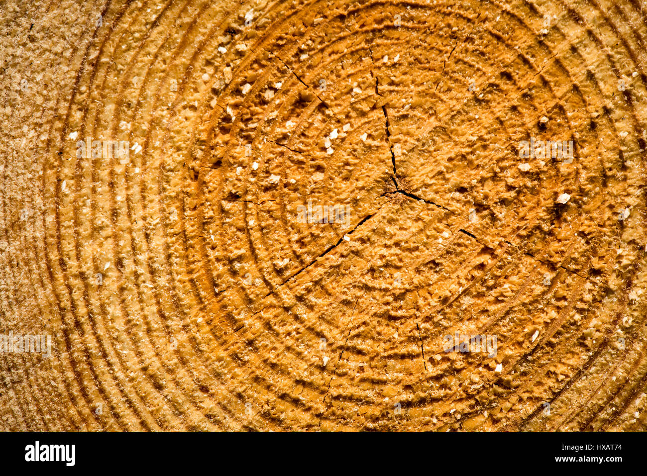 A big pile of wood in a forest road Stock Photo - Alamy