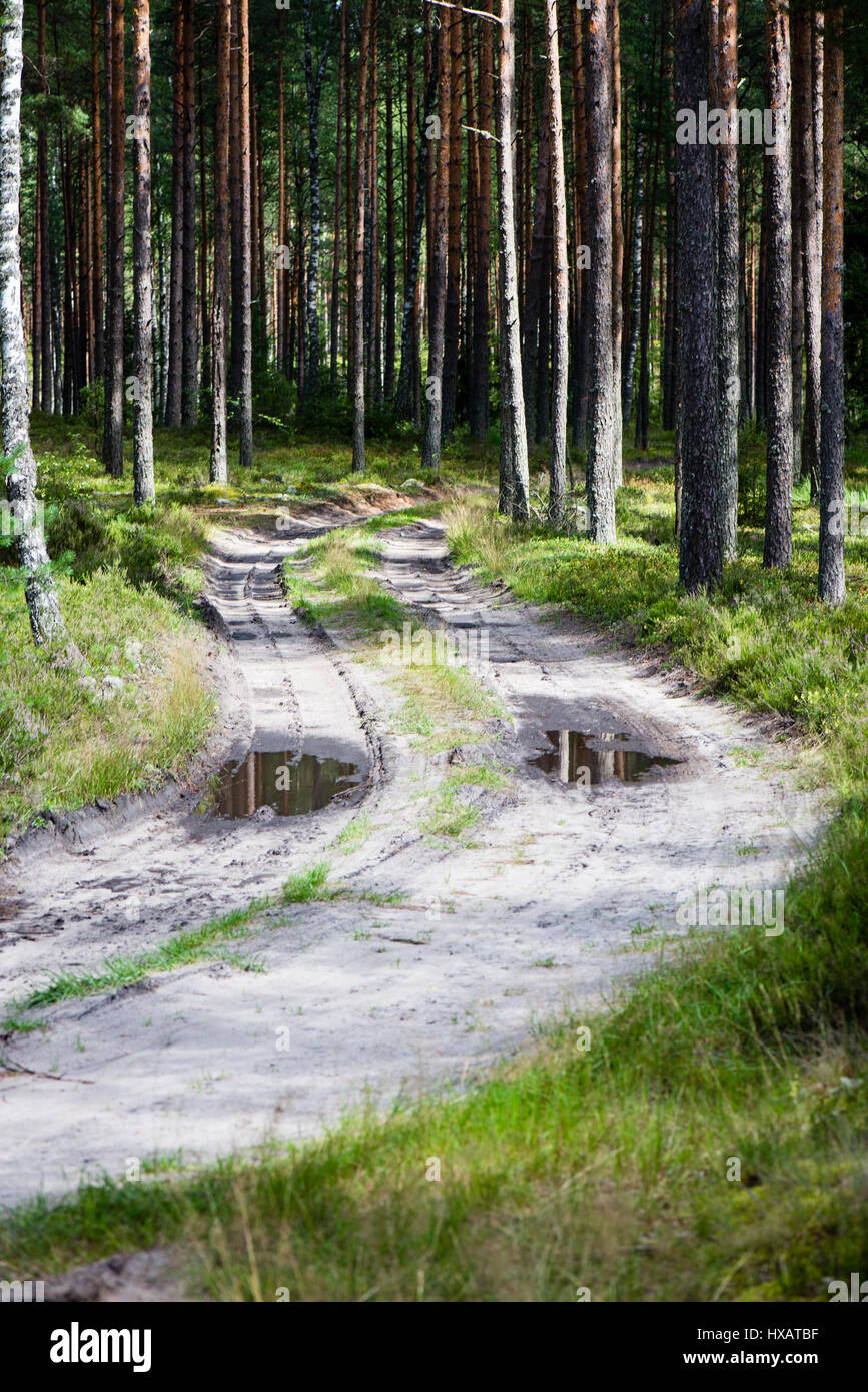 simple country road in summer at countryside with trees around Stock ...