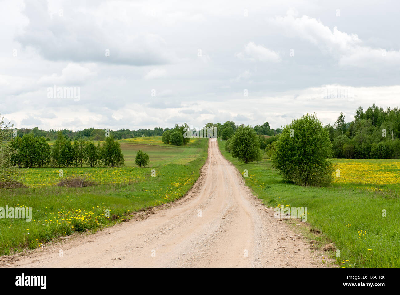 empty road in the countryside with trees and meadows in surrounding ...