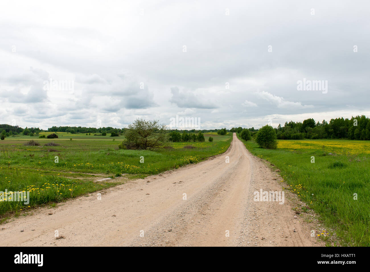 empty road in the countryside with trees and meadows in surrounding ...