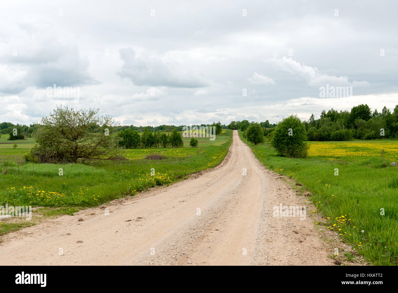 empty road in the countryside with trees and meadows in surrounding ...