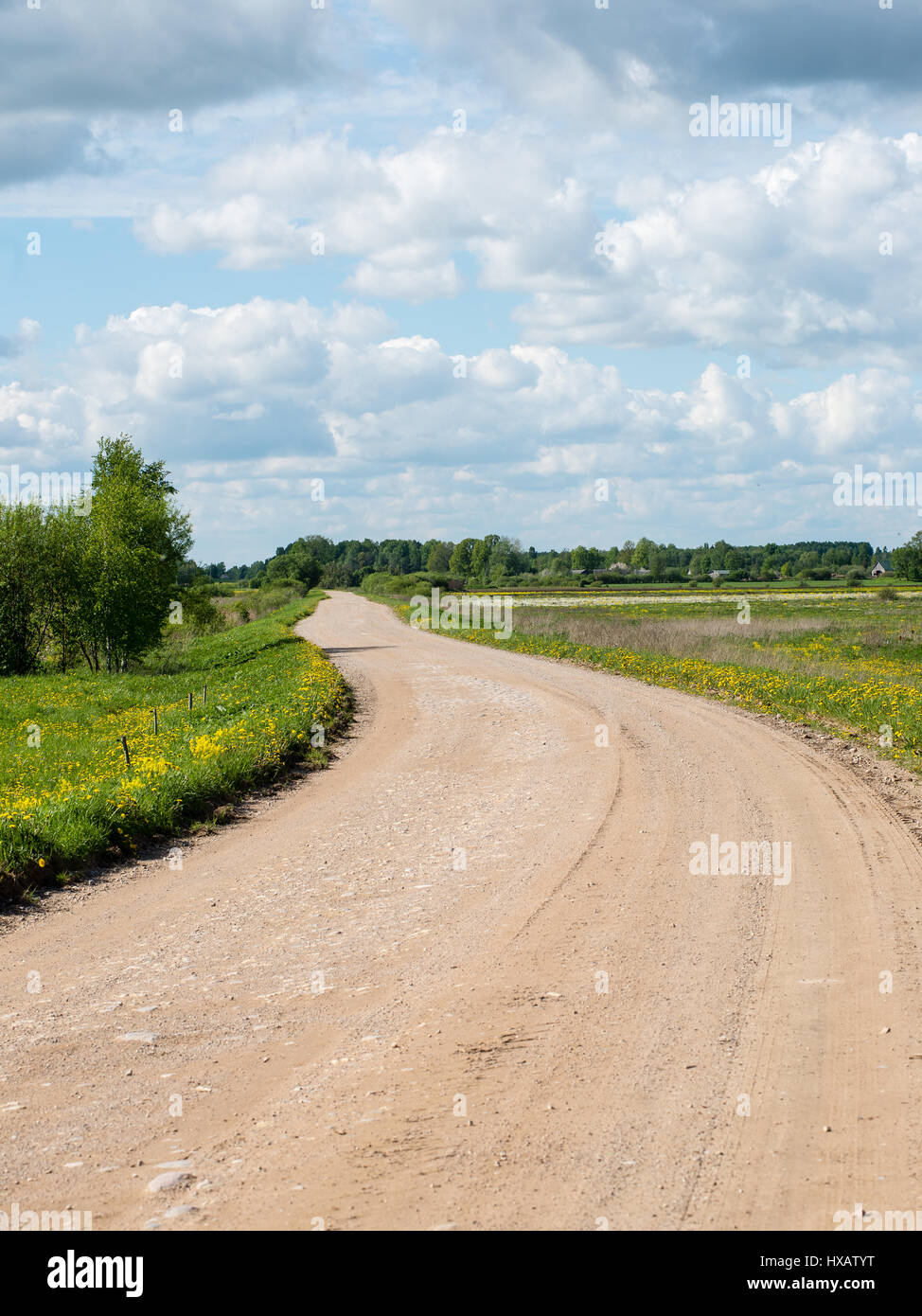 empty road in the countryside with trees and meadows in surrounding ...