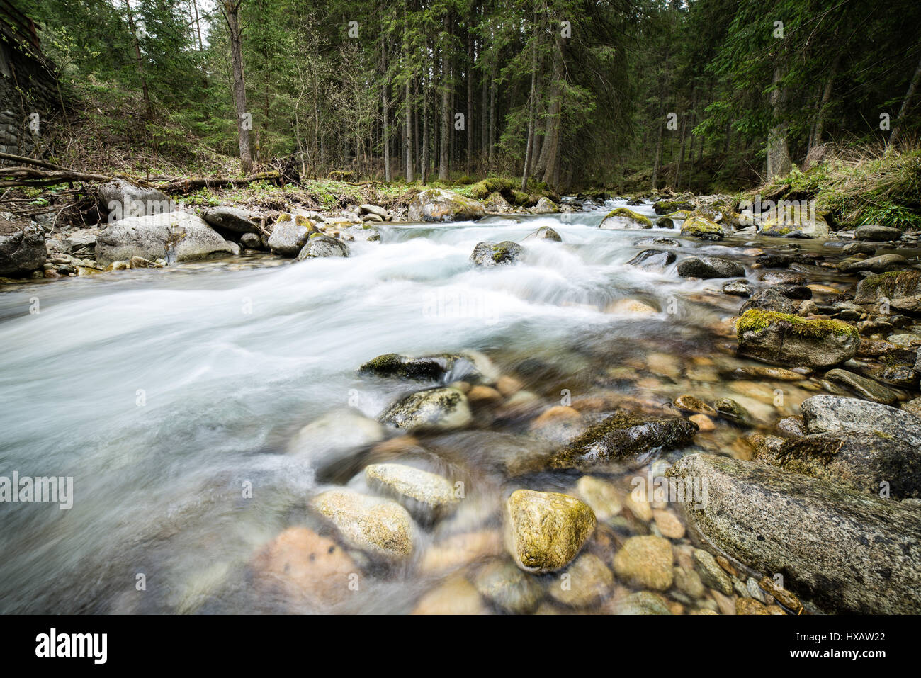 mountain river, long exposure, with rocks and trees Stock Photo - Alamy