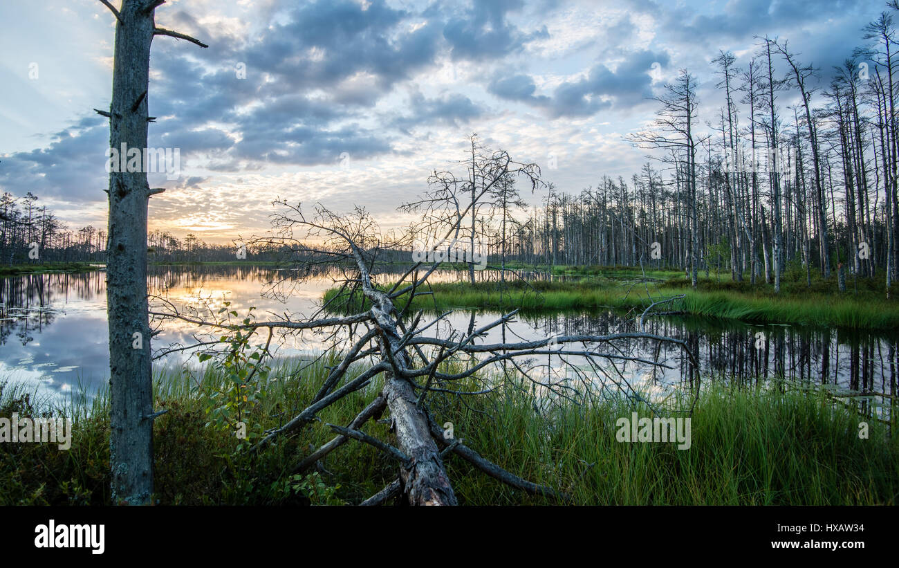 reflections in the lake water at sunrise with clouds and dramatic ...