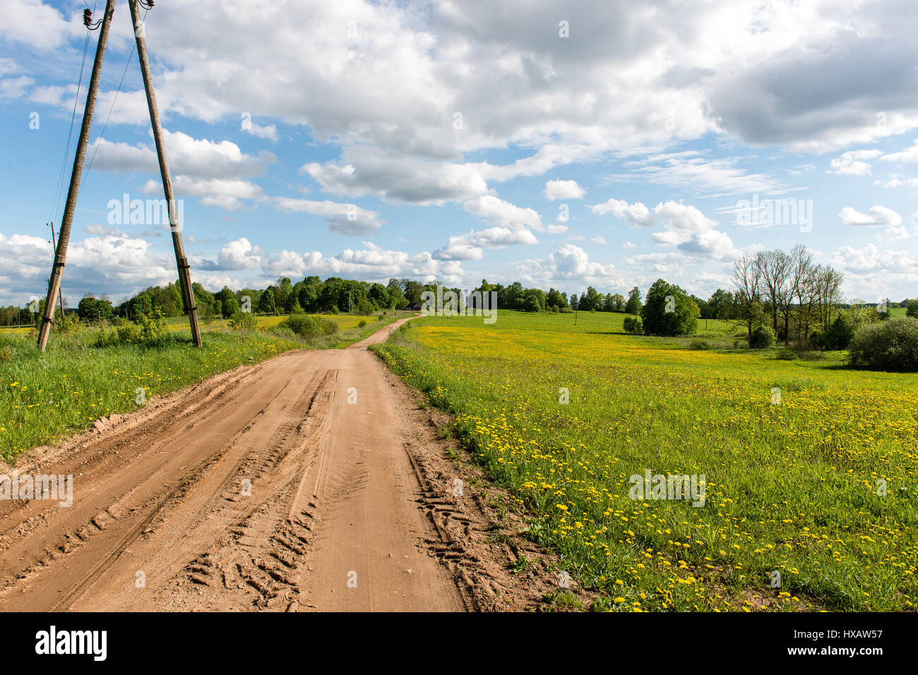 empty road in the countryside with trees and meadows in surrounding ...