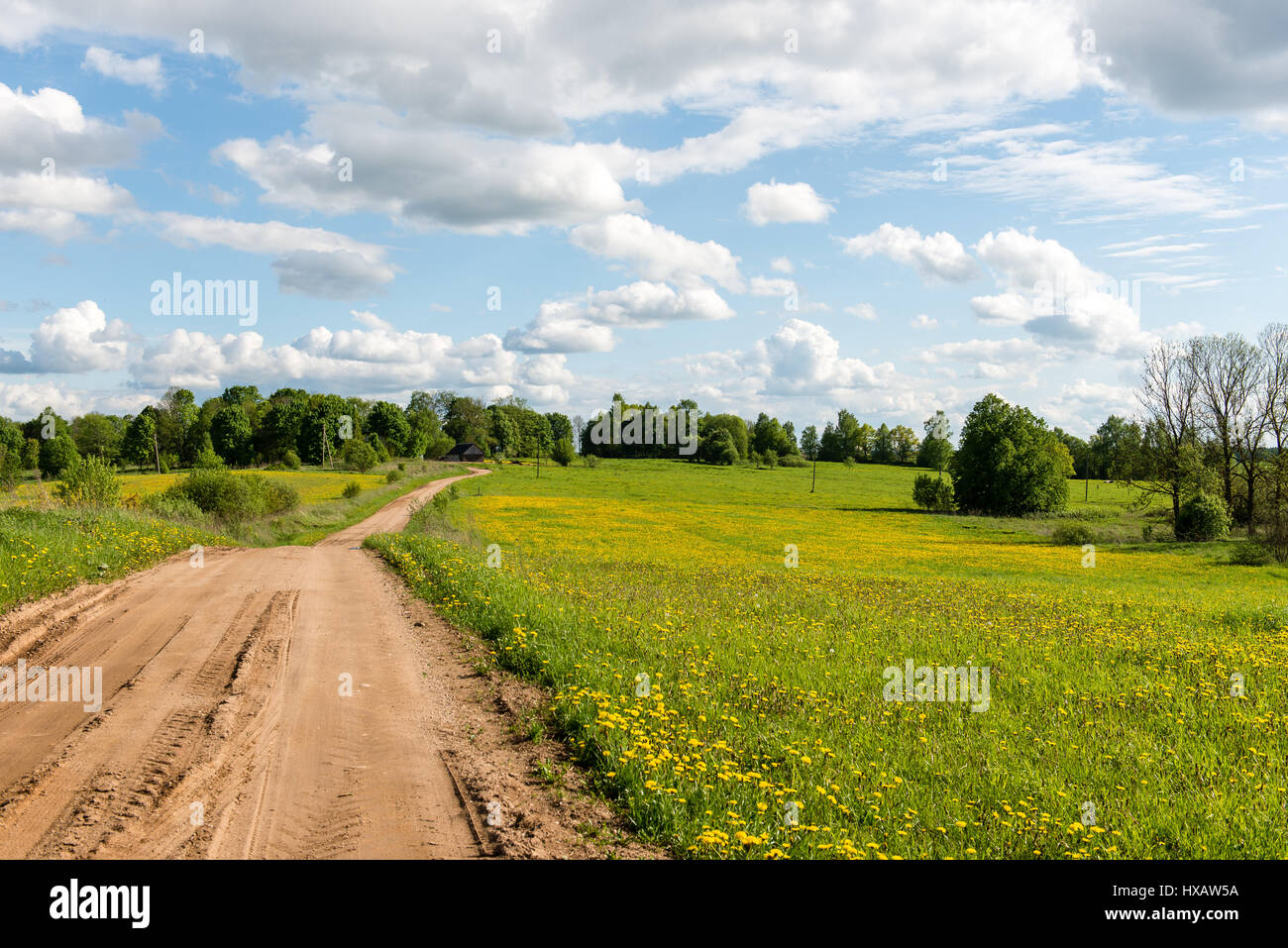 empty road in the countryside with trees and meadows in surrounding ...