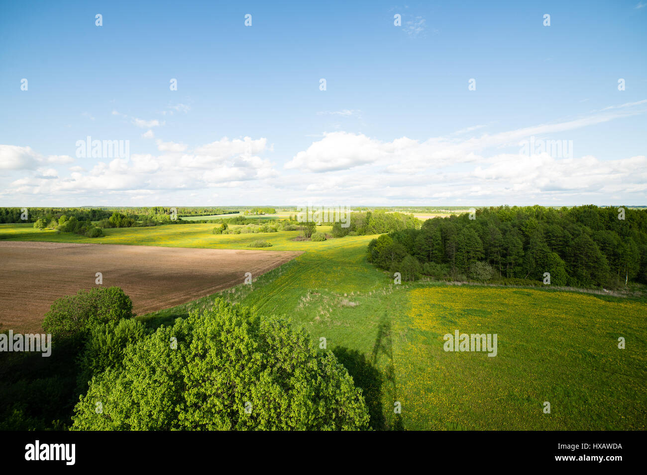 Country roads in perspective from above in summer Stock Photo - Alamy
