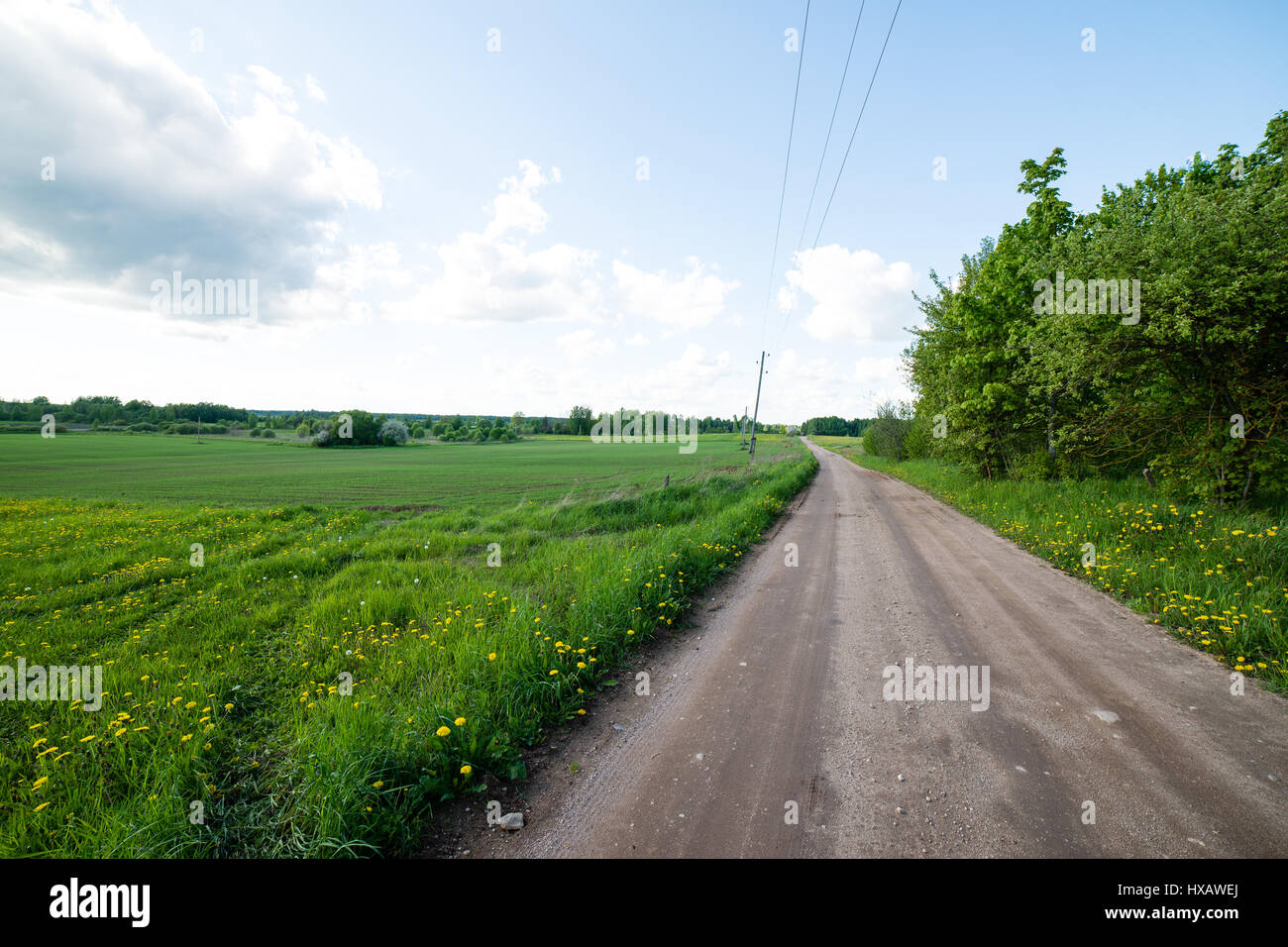 Country roads in perspective from above in summer Stock Photo - Alamy