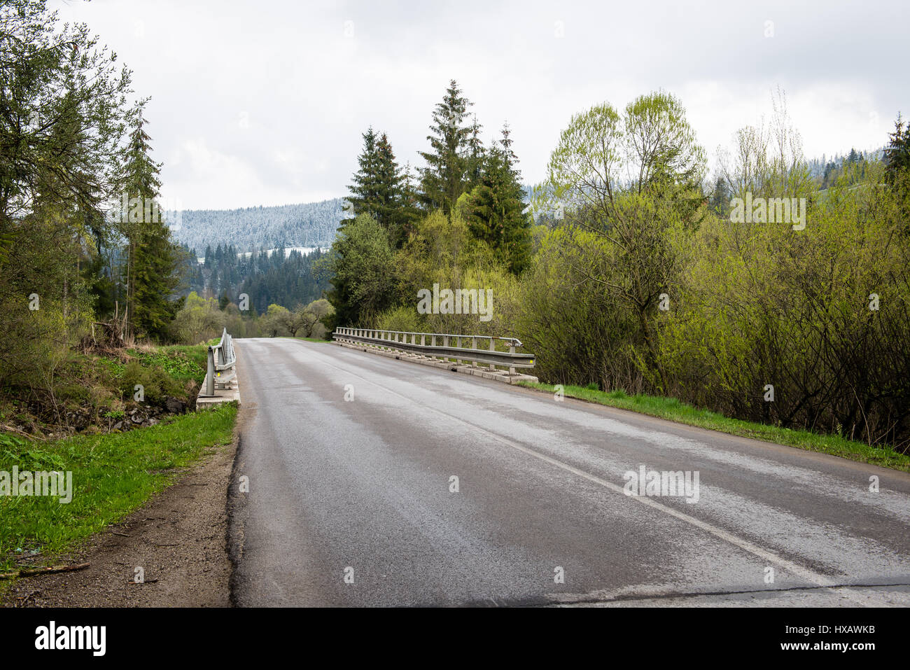 simple country road in summer at countryside with trees around Stock ...