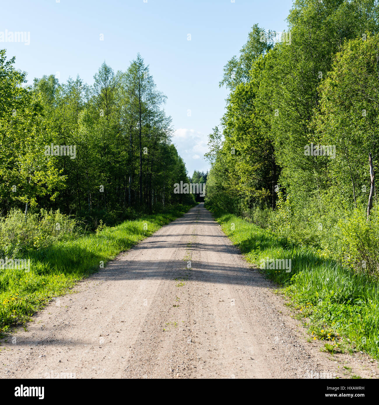 empty road in the countryside with trees and meadows in surrounding ...