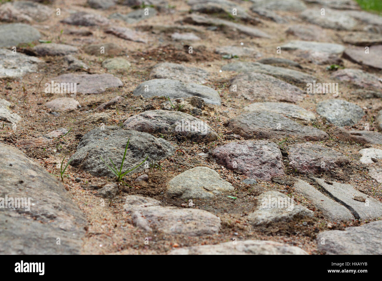 Stone pavement with moss close up view Stock Photo - Alamy