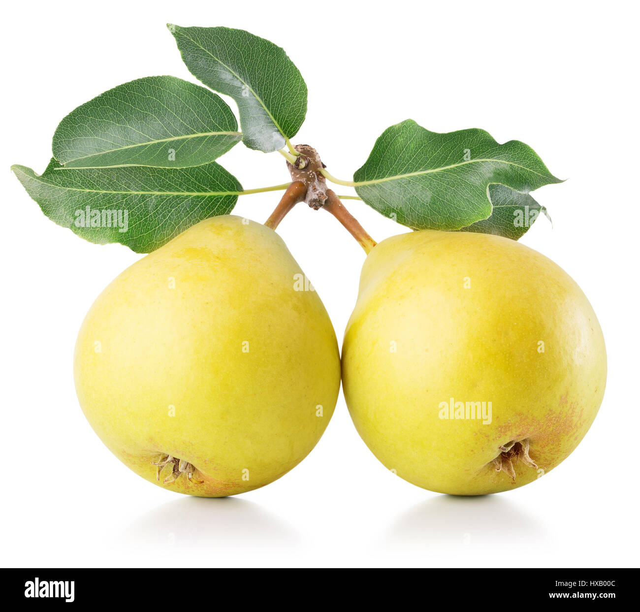 yellow pears isolated on a white background Stock Photo - Alamy