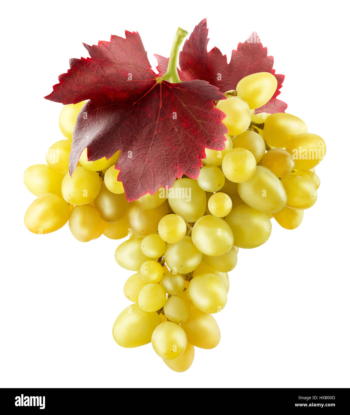 yellow grapes isolated on a white background Stock Photo - Alamy