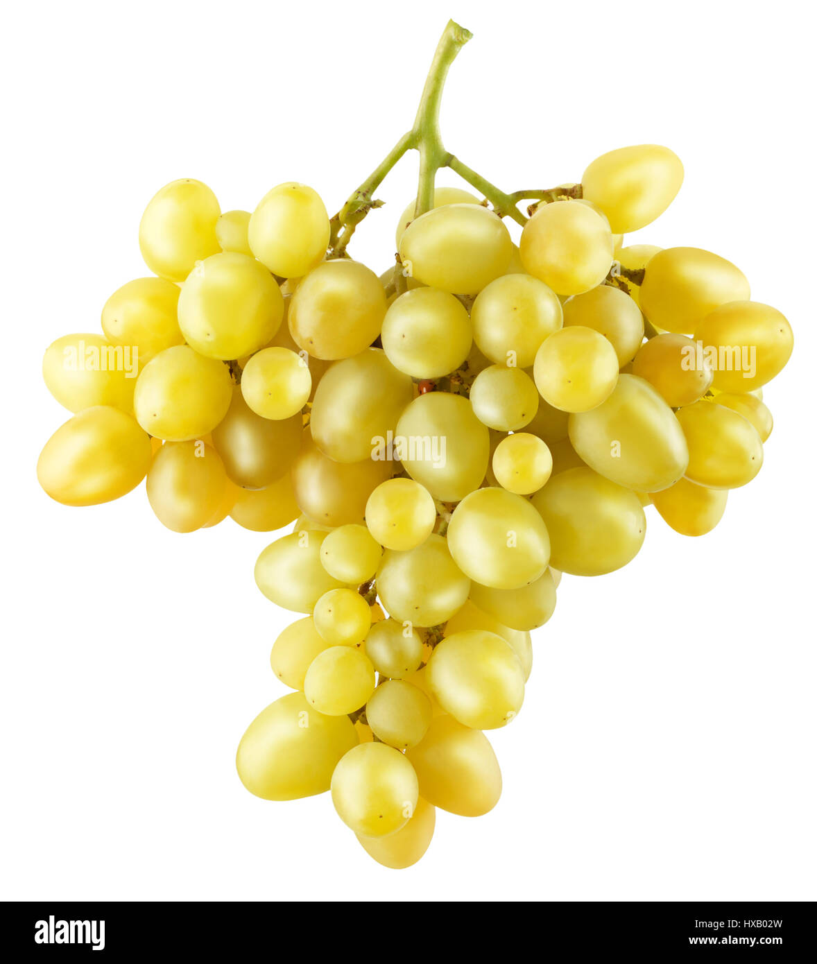 yellow grapes isolated on a white background Stock Photo - Alamy