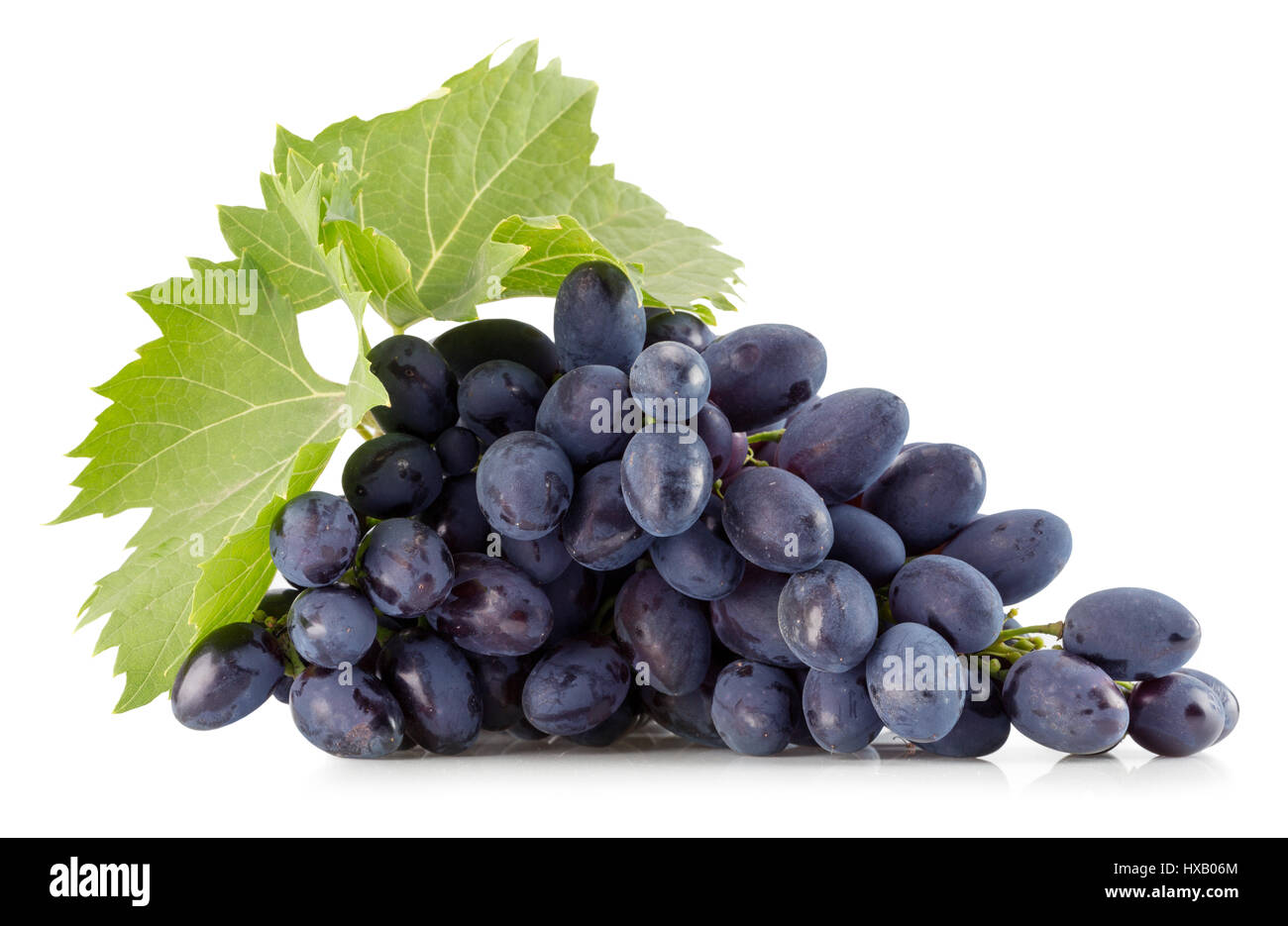 Ripe red grapes on a vine Cut Out Stock Images & Pictures - Alamy
