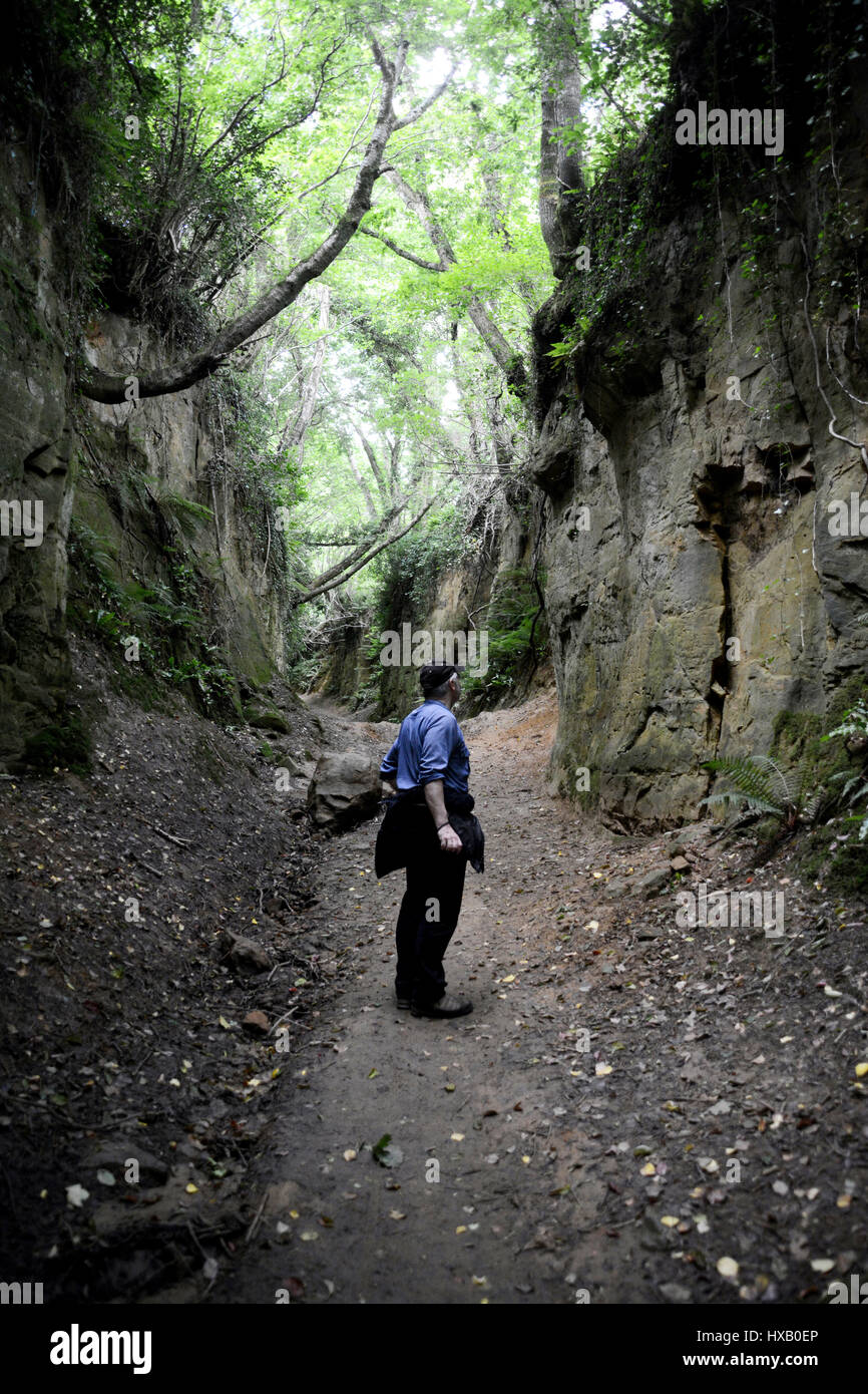 Old sunken lane hi-res stock photography and images - Alamy