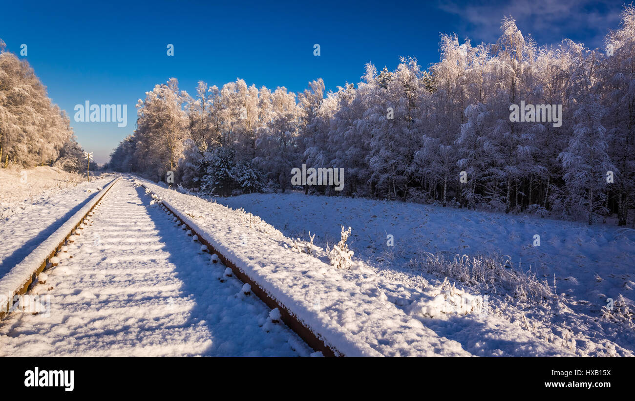 Frozen in winter railway line between forests Stock Photo - Alamy