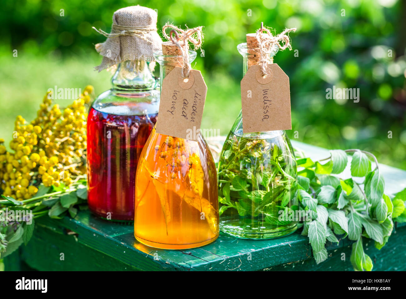 Healing tincture in bottles with herbs and alcohol Stock Photo - Alamy