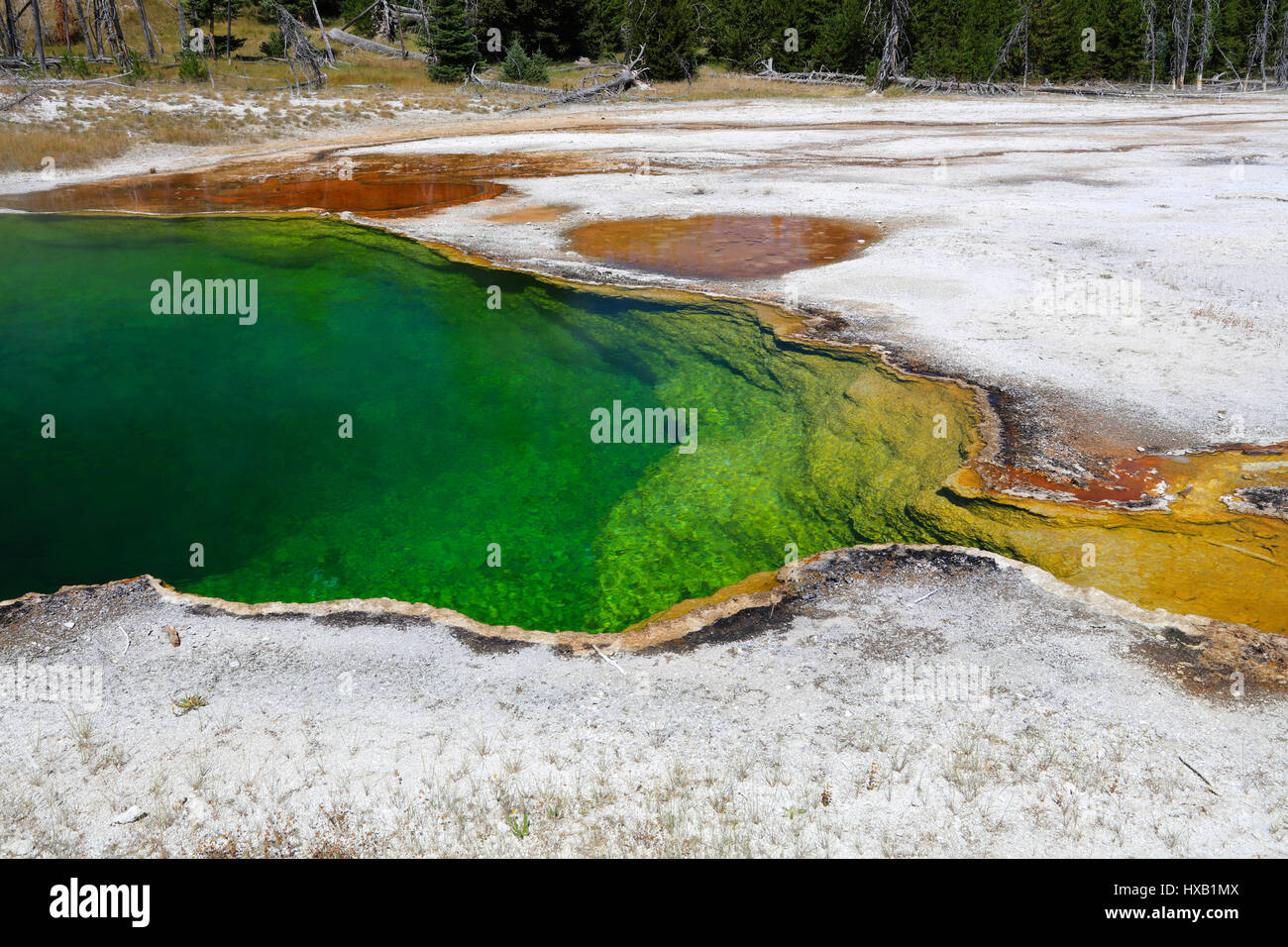 Green geothermal pool hi-res stock photography and images - Alamy