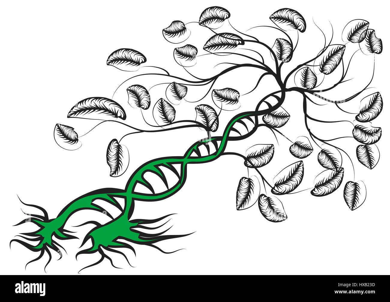 plant as DNA isolated on white background Stock Vector Image & Art - Alamy