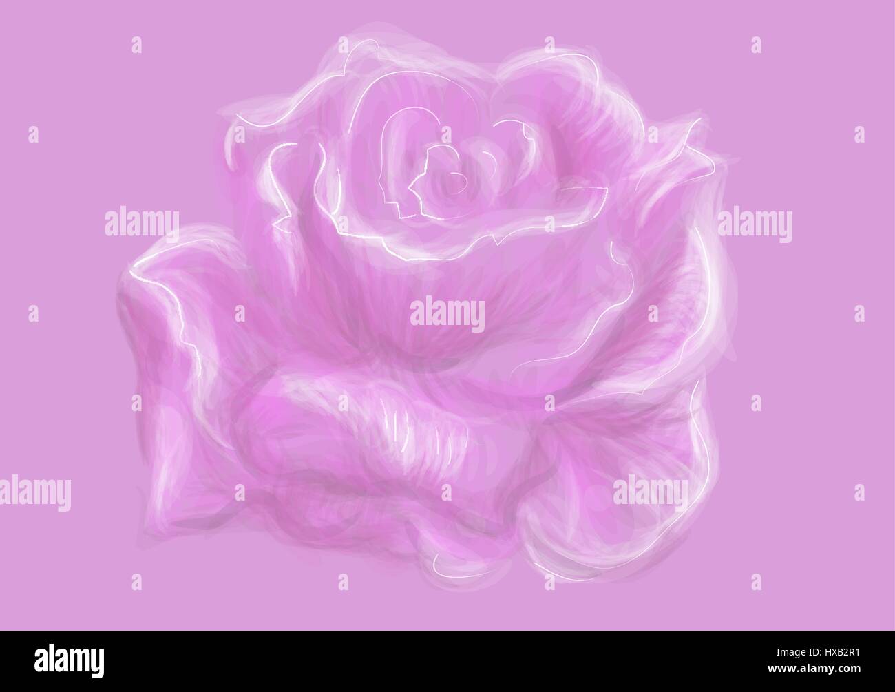 rose background. abstract pink background with blooming rose Stock ...