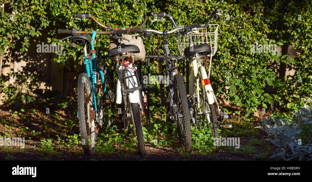 converse sneakers outside on a door mat Stock Photo - Alamy