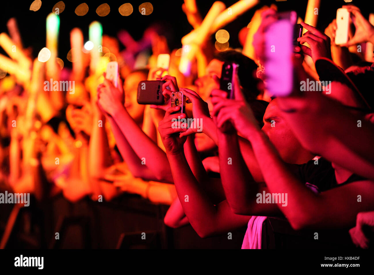 16 cell stage hi-res stock photography and images - Alamy