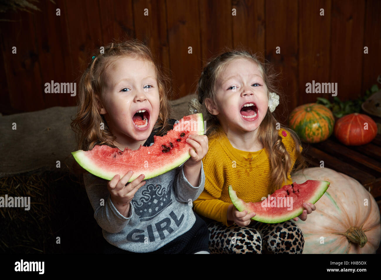 Funny kids eating watermelon. Child, Healthy Eating happy Stock Photo ...