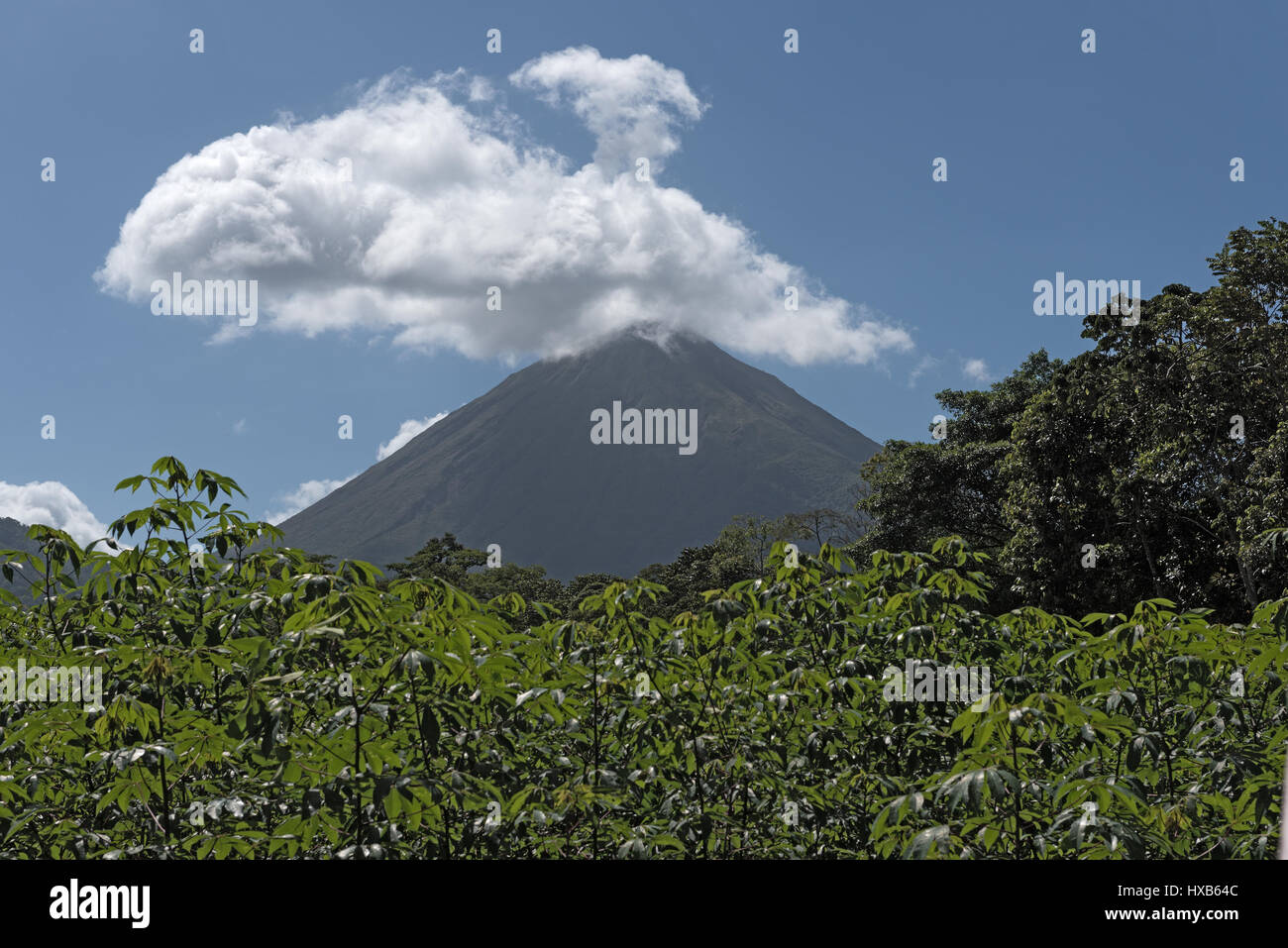 The active volcano Arenal in Costa Rica Stock Photo - Alamy
