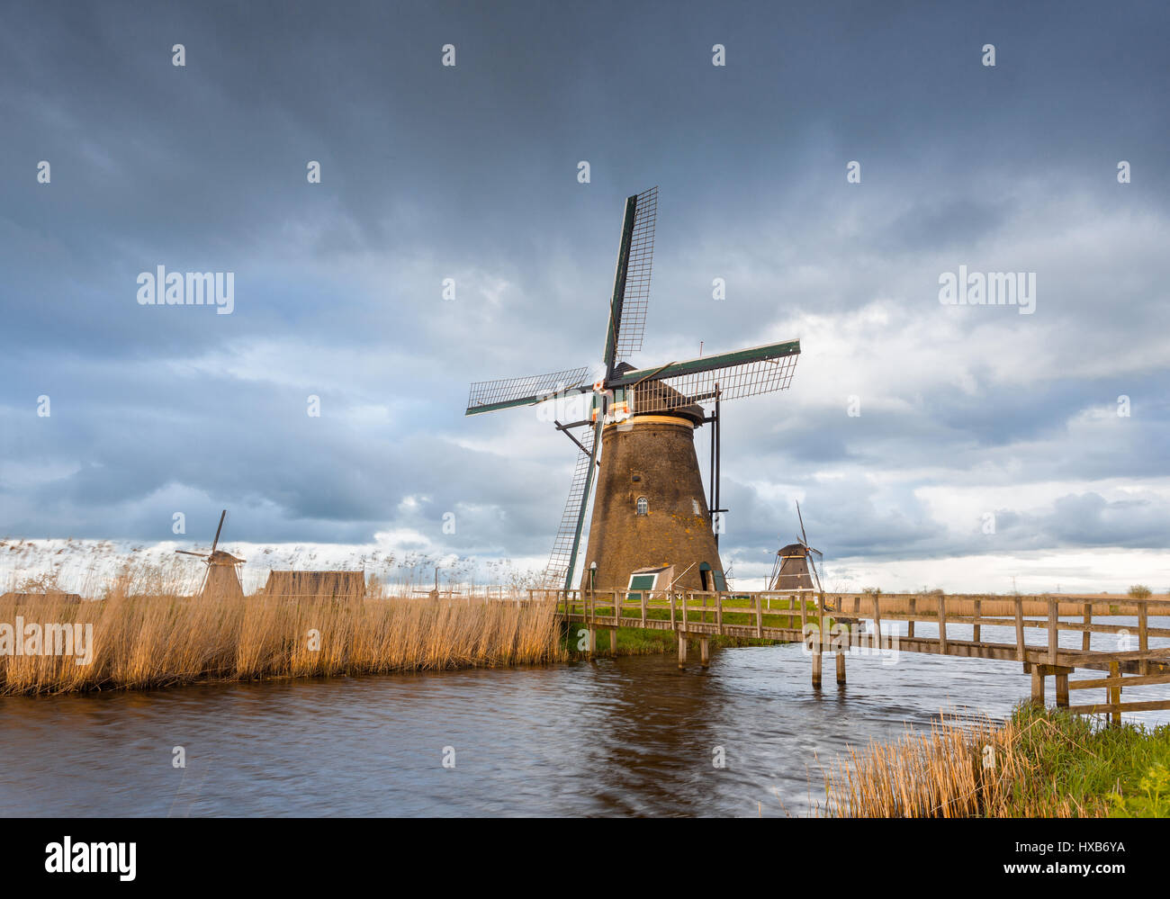 Amazing windmills. Rustic landscape with traditional dutch windmills ...