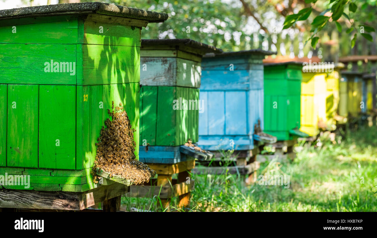 Beehive beekeeping beekeepers house hi-res stock photography and images ...