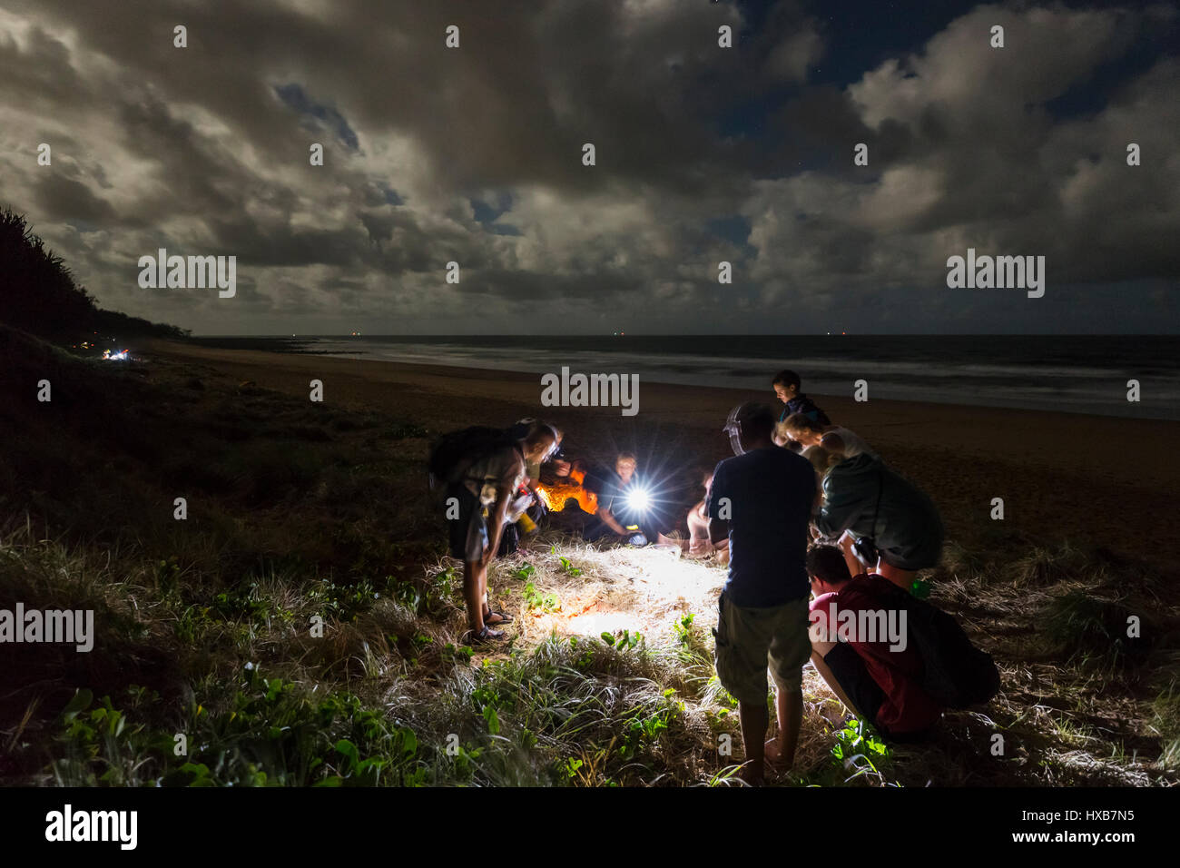Park rangers showing visitors turtle hatchlings emerging from their ...
