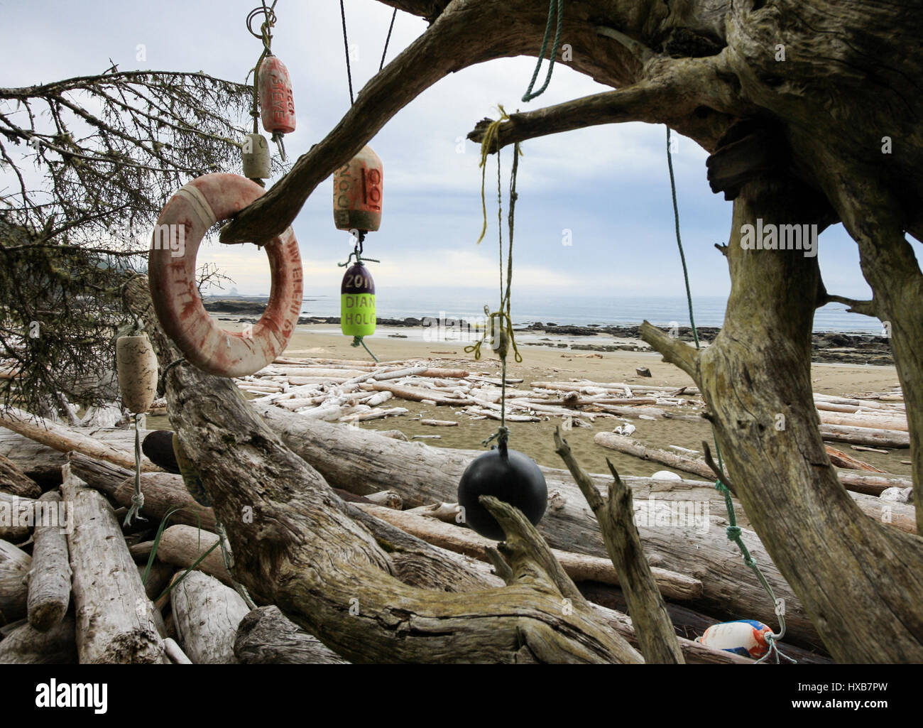 Trailhead Markers, West Coast Trail, BC Stock Photo - Alamy