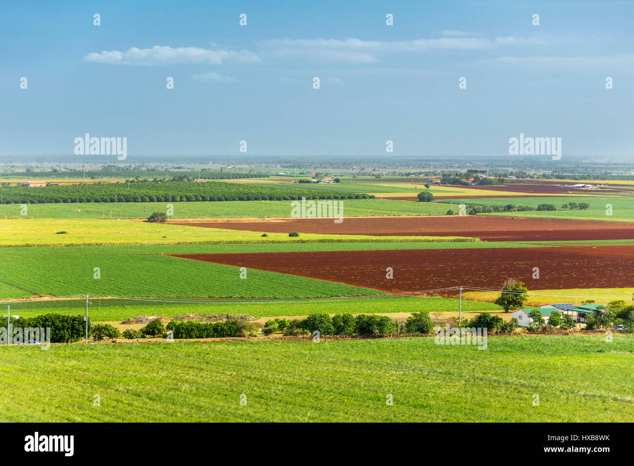 View of cane farmland from the Hummock Lookout. Bundaberg, Queensland ...