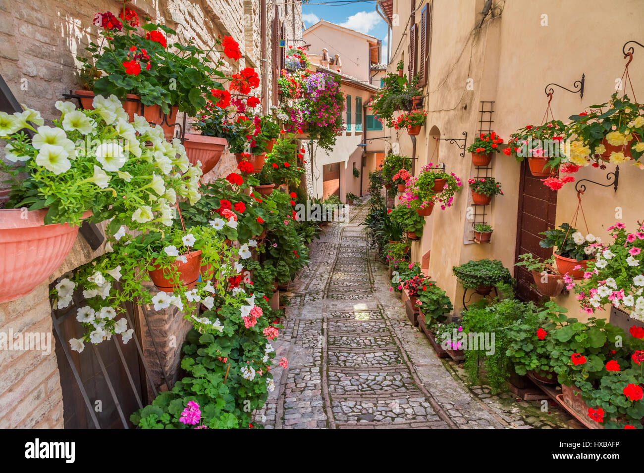 Street in small town in Italy in sunny day, Umbria Stock Photo - Alamy