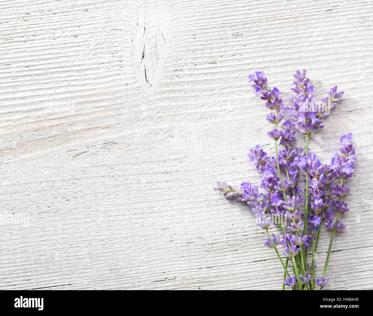 Sprigs of lavender hi-res stock photography and images - Alamy